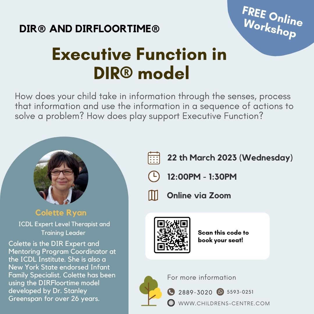 Executive Function In Dir Model The Hong Kong Association Of Speech